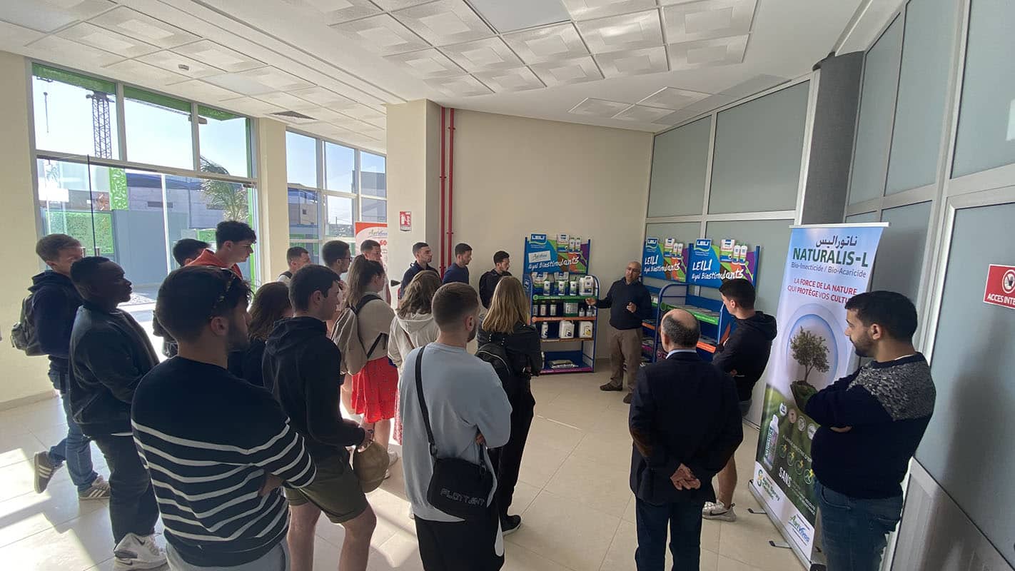 Trip to Marrakech for LFI students - GIP CEI - Redon and Paris